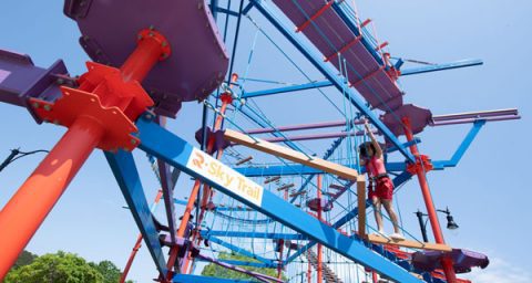 Home - Spivey Splash